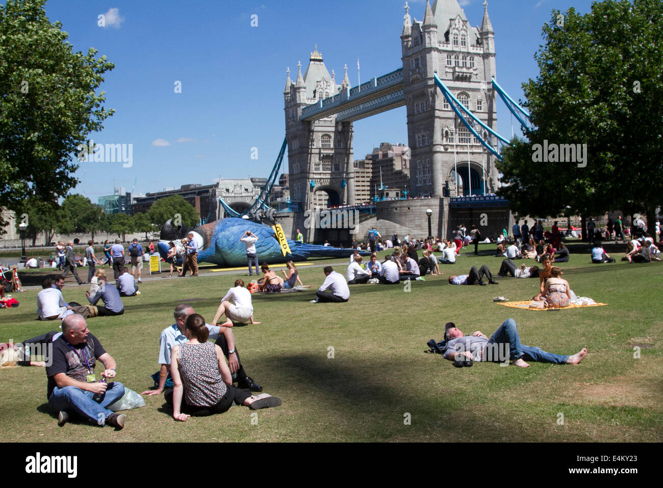 Monty python parrot sketch hi-res stock photography and images - Alamy