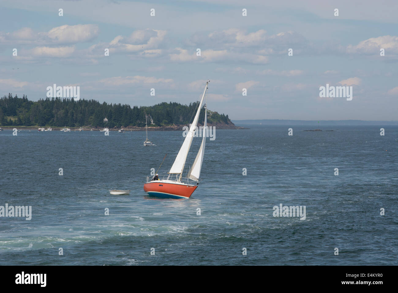Maine, Rockland, Penobscot Bay. Red sailboat in front of Owls Head ...