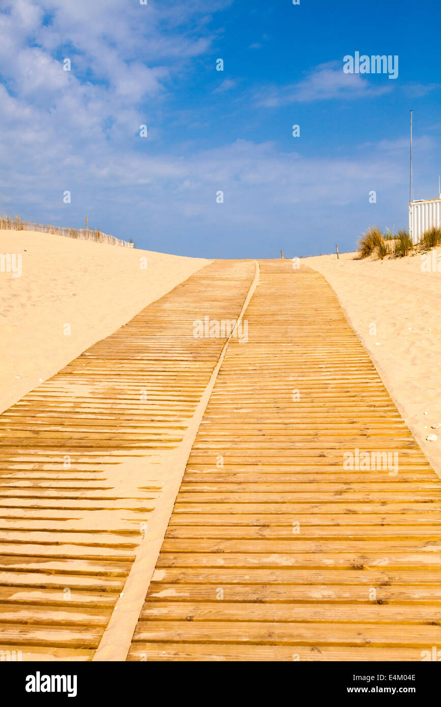 Wooden slatted beach access ramp leading over sand dunes Stock Photo ...