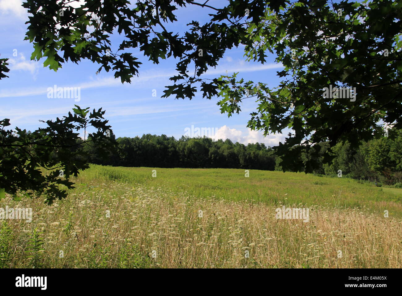 Open pastures hi-res stock photography and images - Alamy