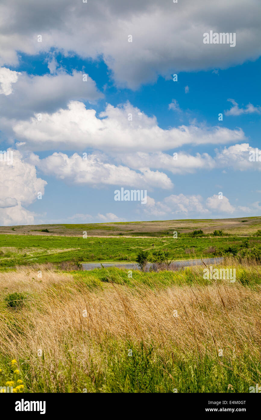 Spring Creek Prairie Denton, Nebraska Stock Photo - Alamy