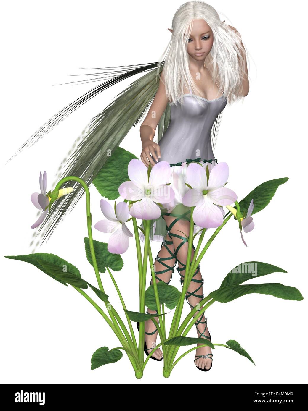 White Violet Fairy Stock Photo - Alamy