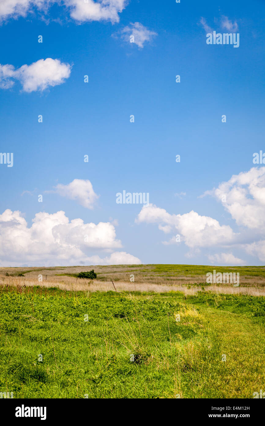 Prairie Landscape Grasses High Resolution Stock Photography and Images ...