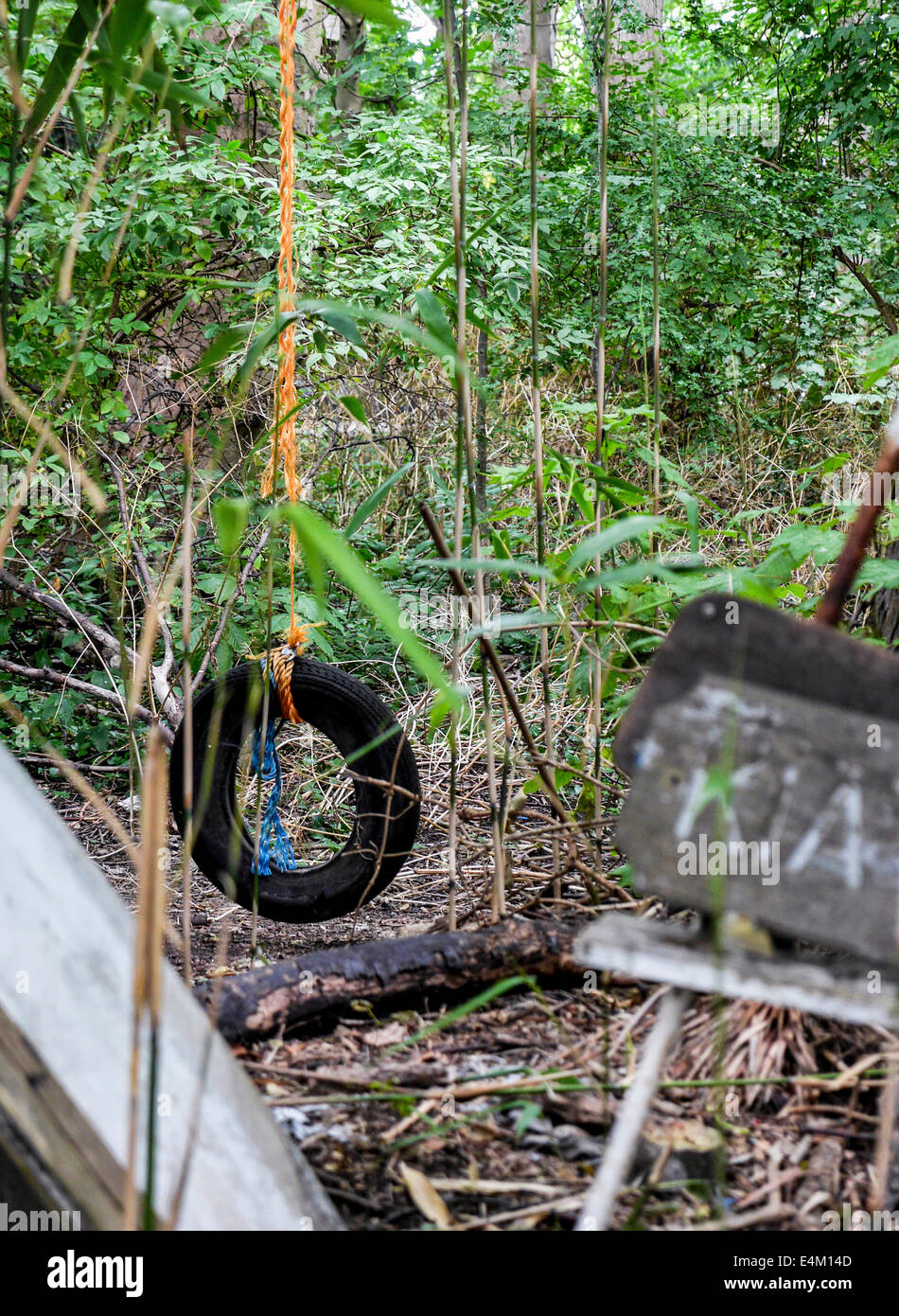 A Swing made of an old rope and tyre on the edge of the nature reserve ...