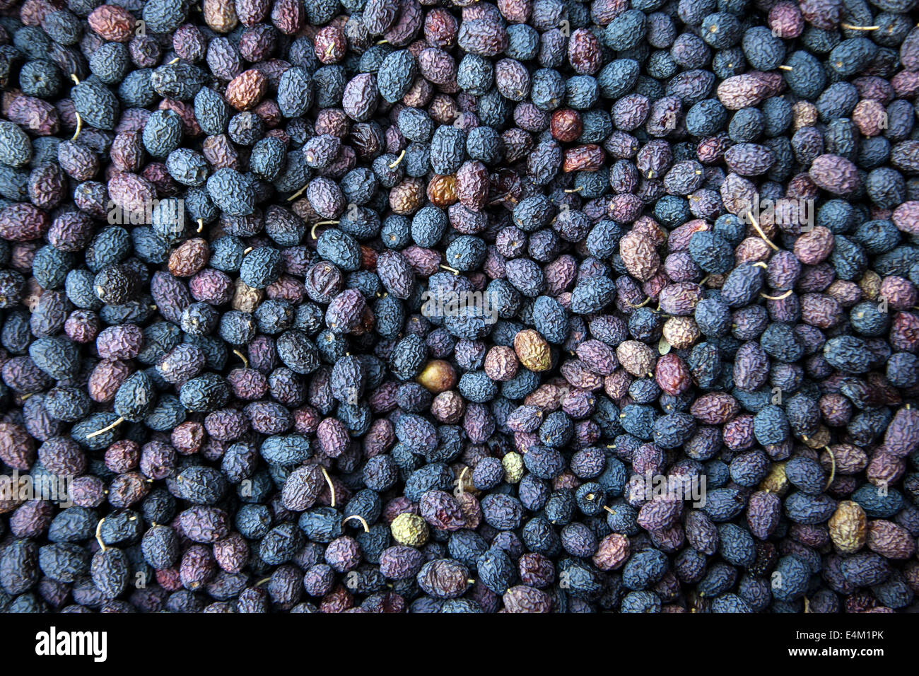 Olive grove turkey hi-res stock photography and images - Alamy