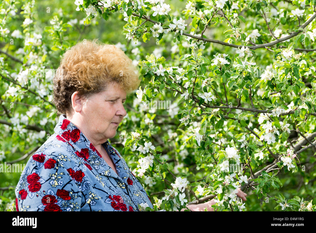 Elderly woman in a spring garden Stock Photo - Alamy