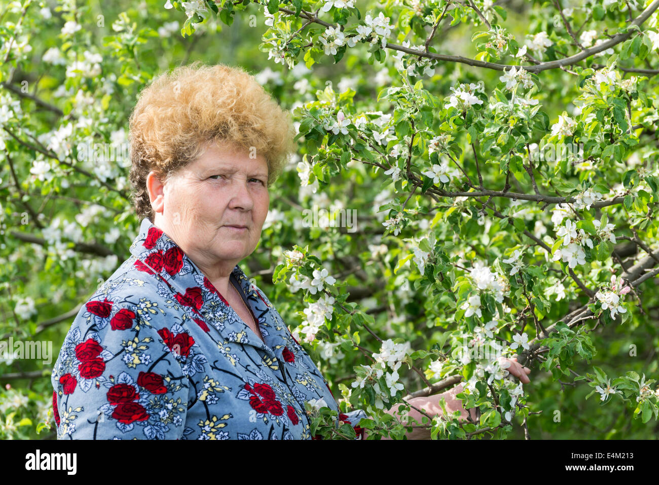 Elderly woman in a spring garden Stock Photo - Alamy