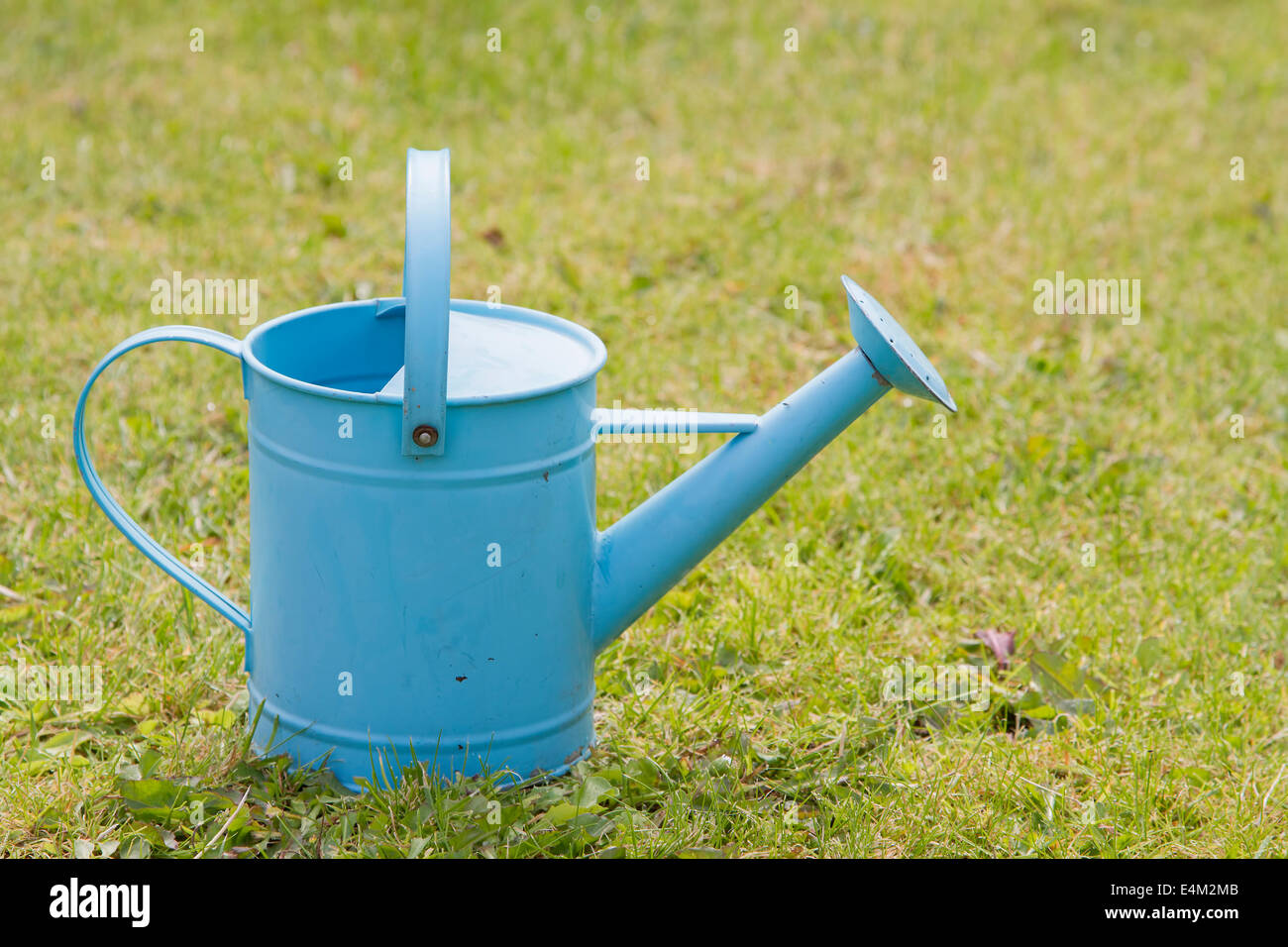 Blue watering can on grass Stock Photo - Alamy