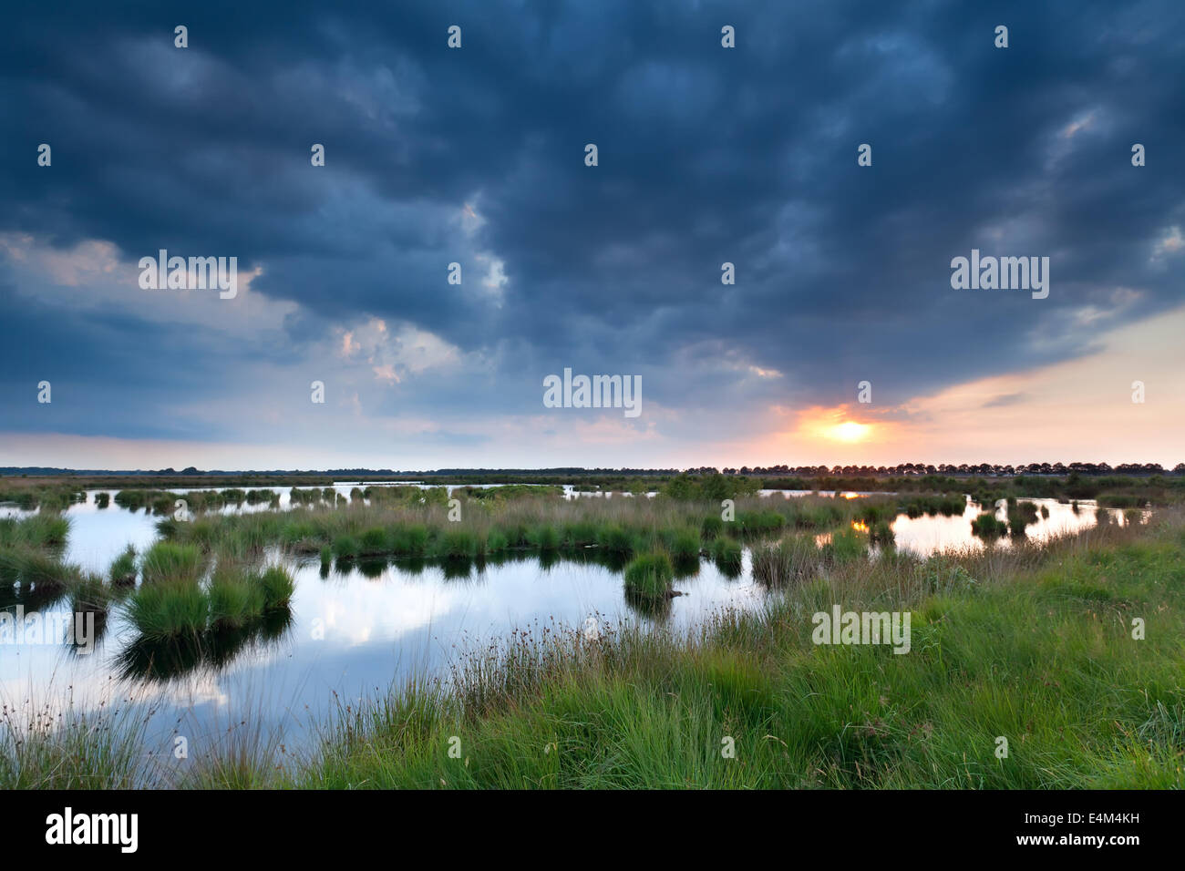 sunset over swamp, Fochtelooerveen, Friesland, Netherlands Stock Photo ...