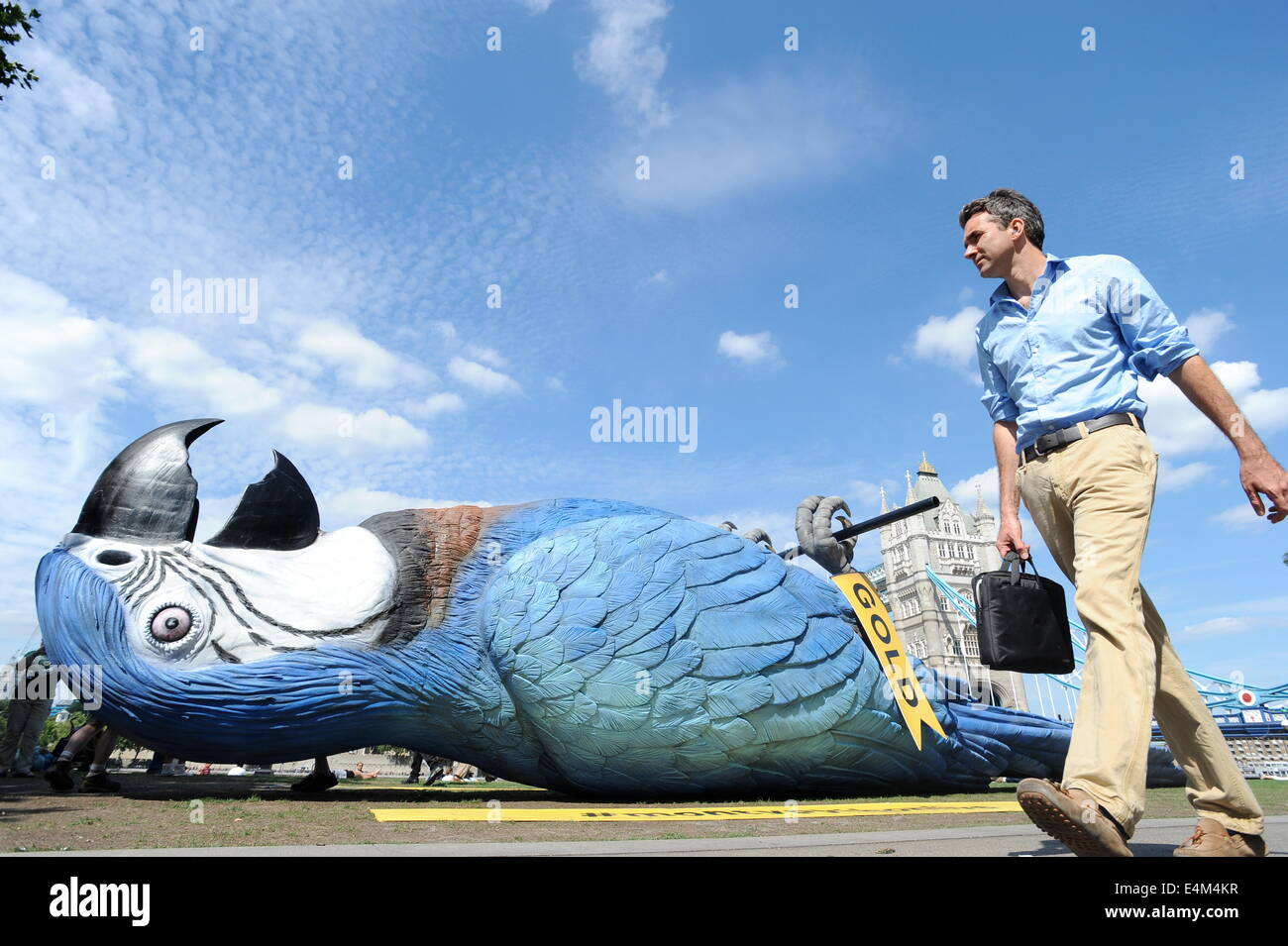 Norwegian Blue Parrot