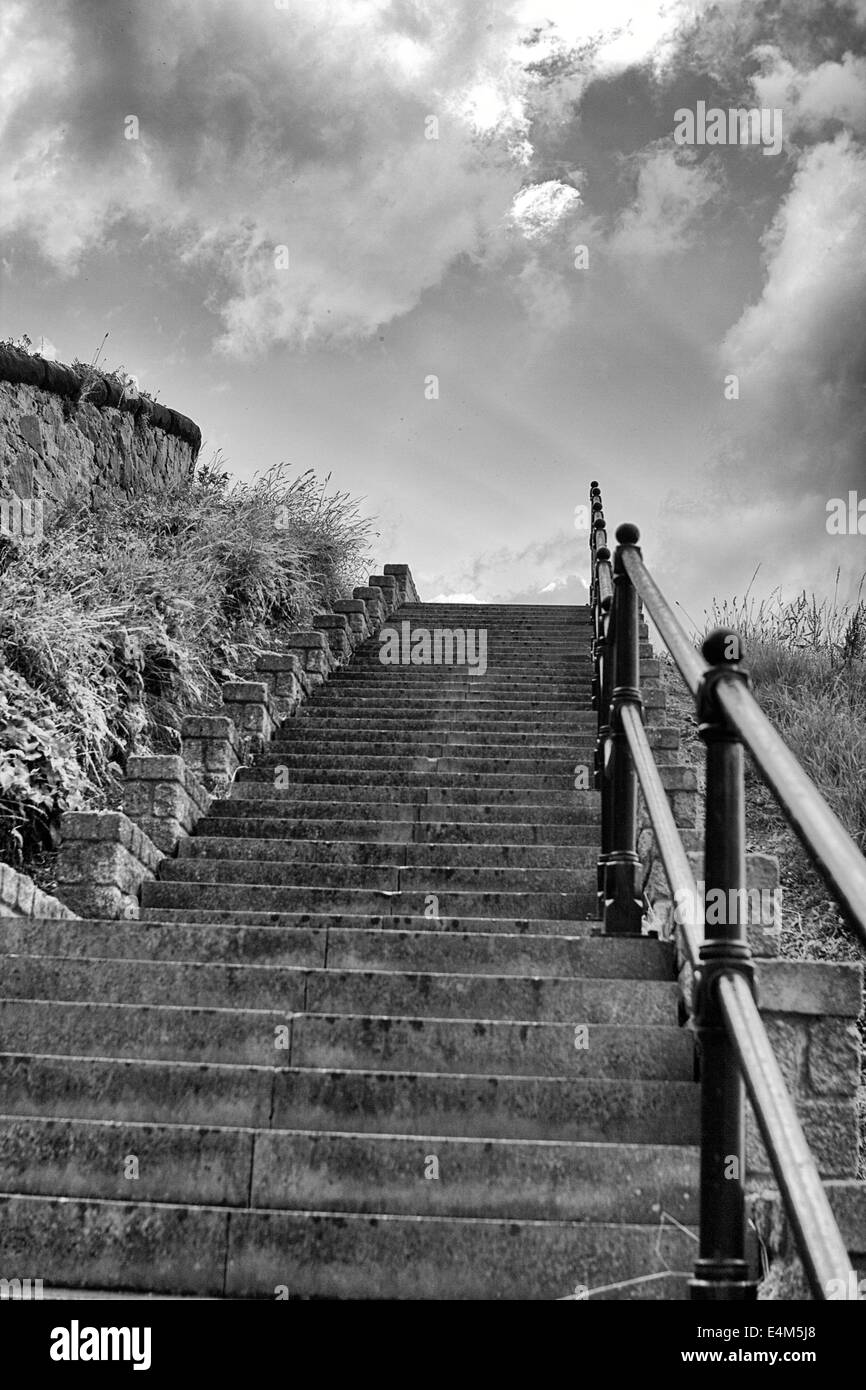 Steps and railings Black and White Stock Photos & Images - Alamy