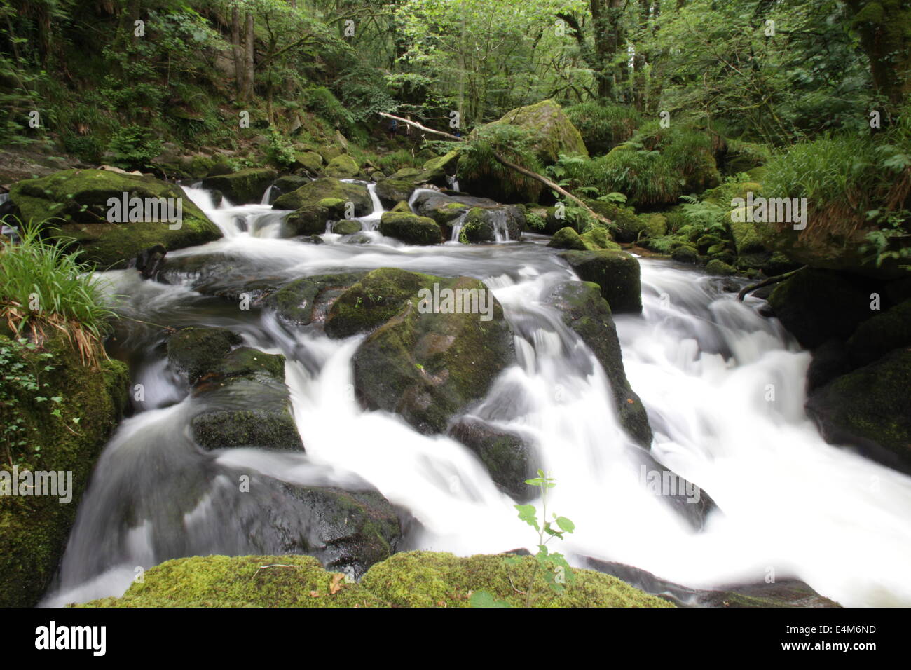Golitha Falls, Cornwall Stock Photo - Alamy