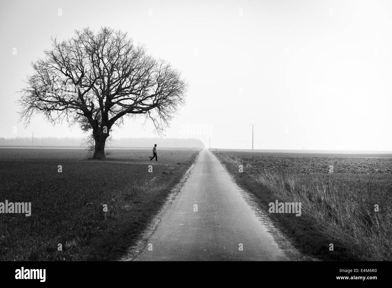 man walking under a tree Stock Photo - Alamy