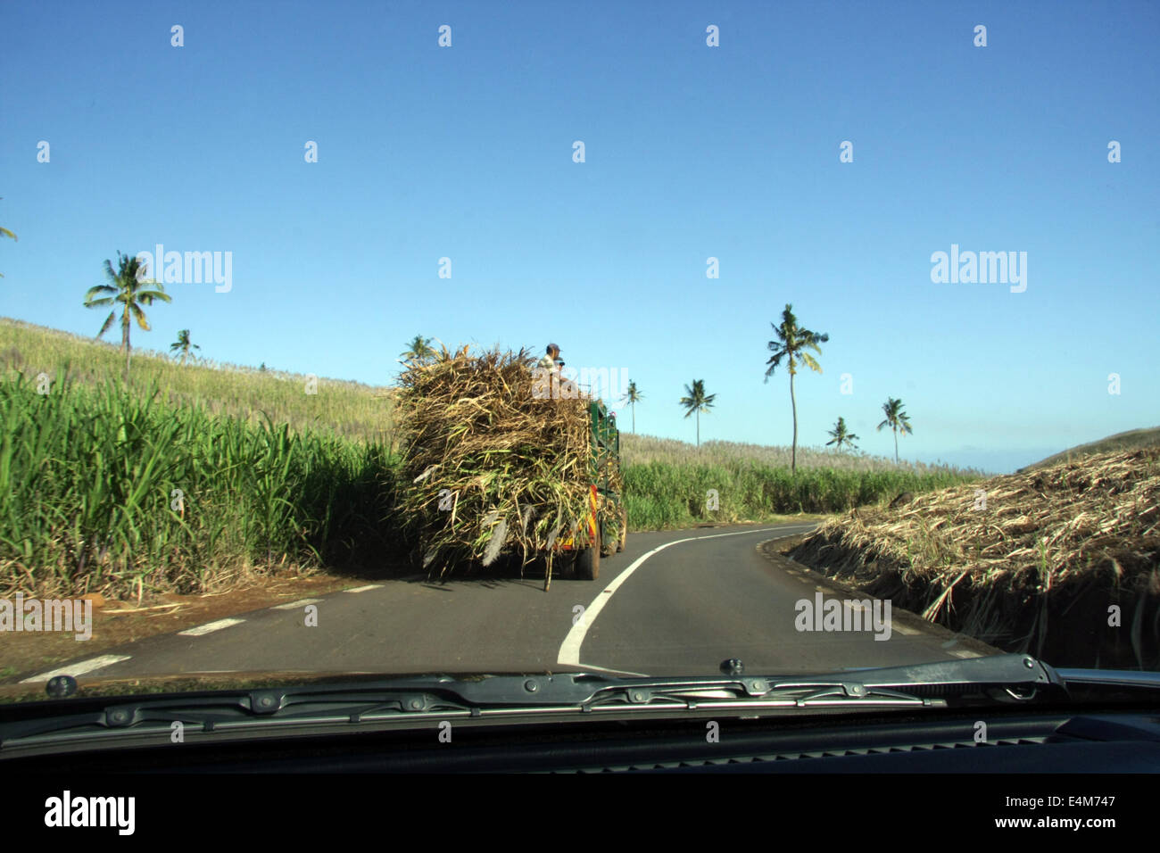 Sugar cane transport hi-res stock photography and images - Alamy