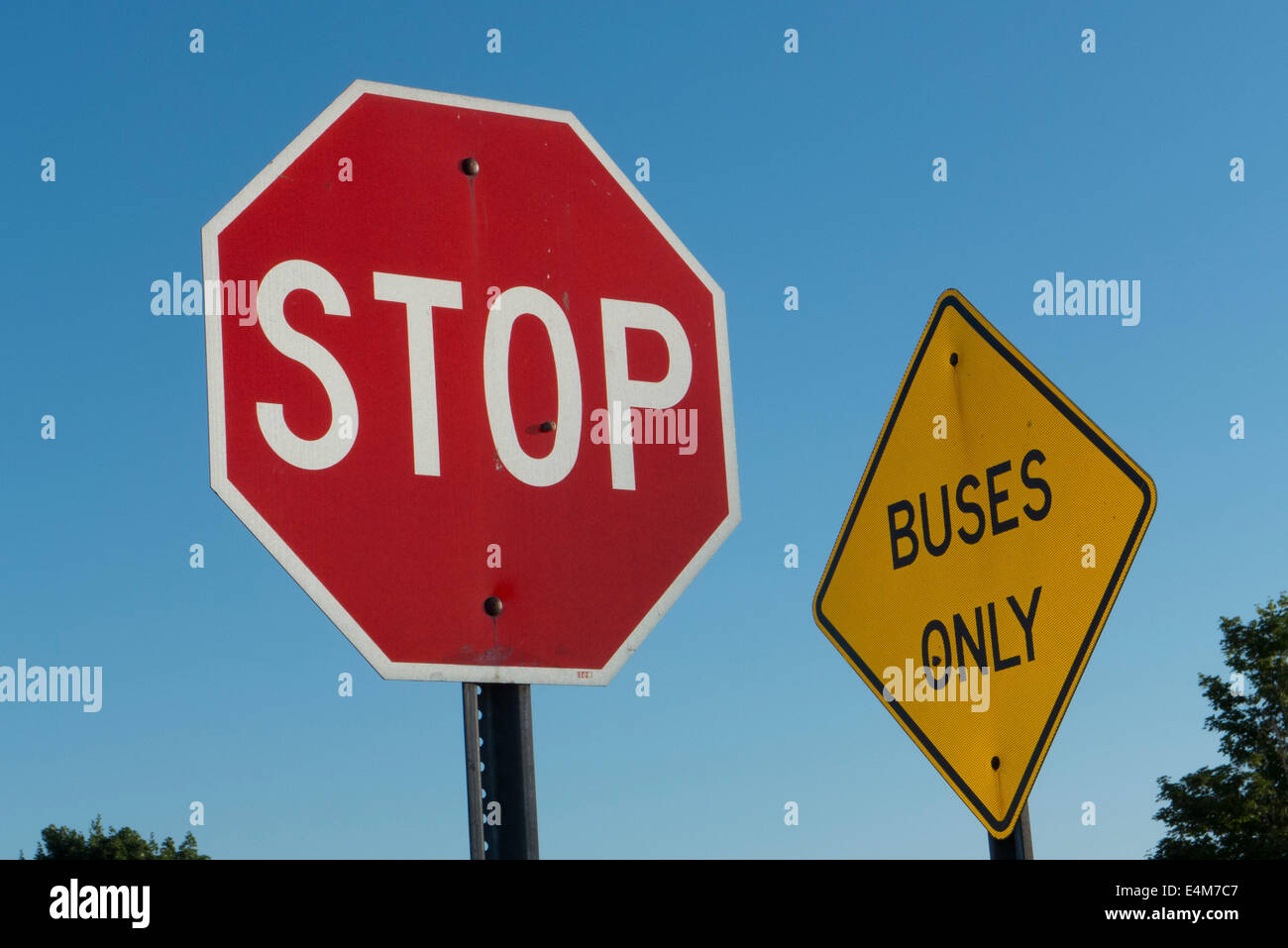 stop sign buses only sign Stock Photo - Alamy