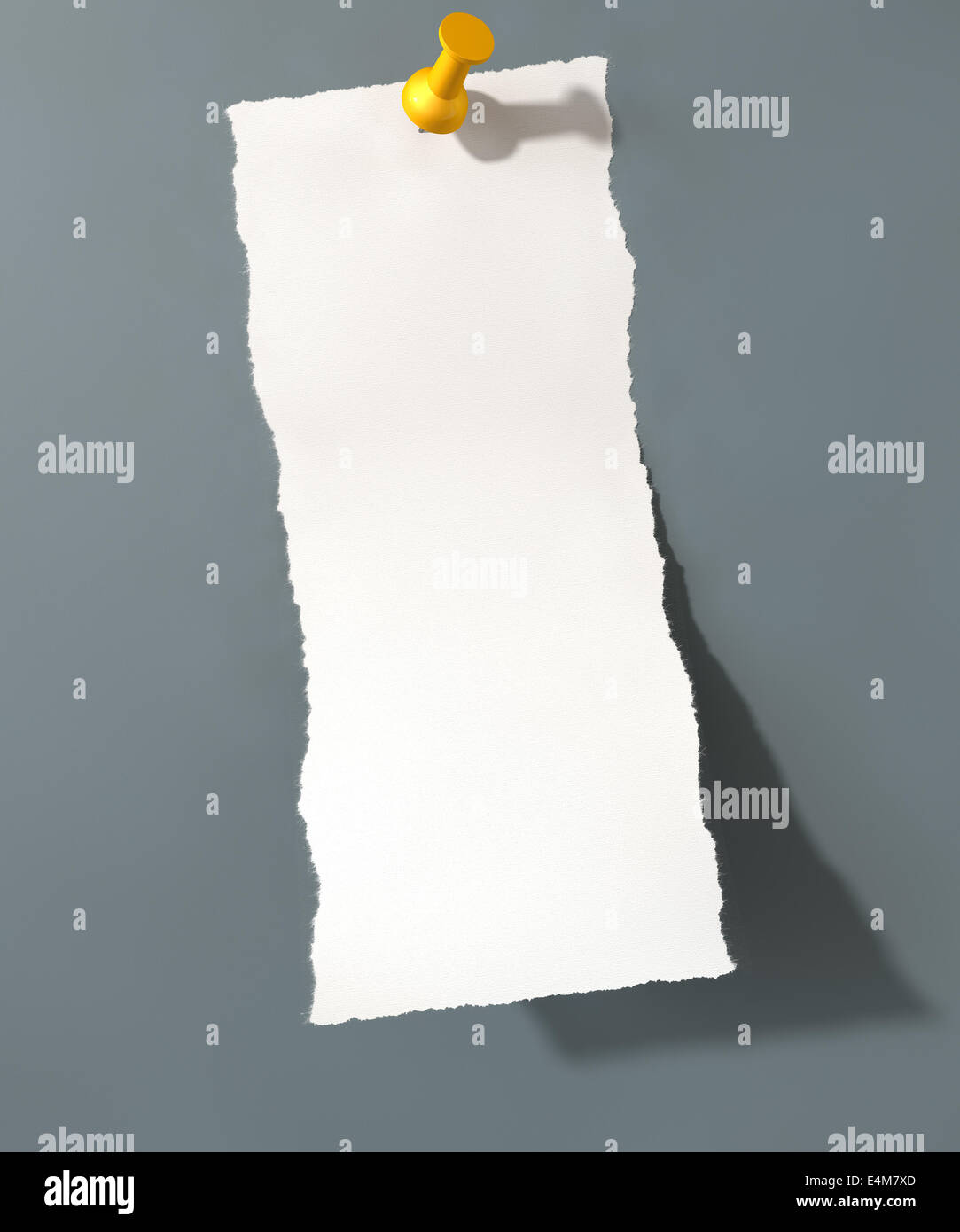 A white torn page peeling upwards attached to an isolated grey wall ...