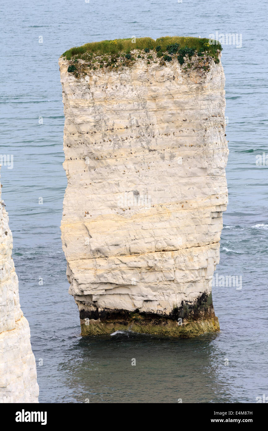 Jurassic coast rocks hi-res stock photography and images - Alamy