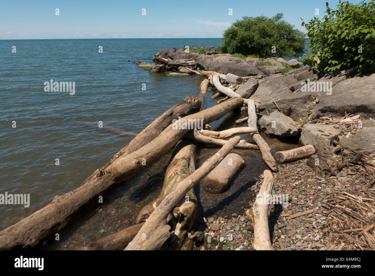 Shoreline logs hi-res stock photography and images - Alamy