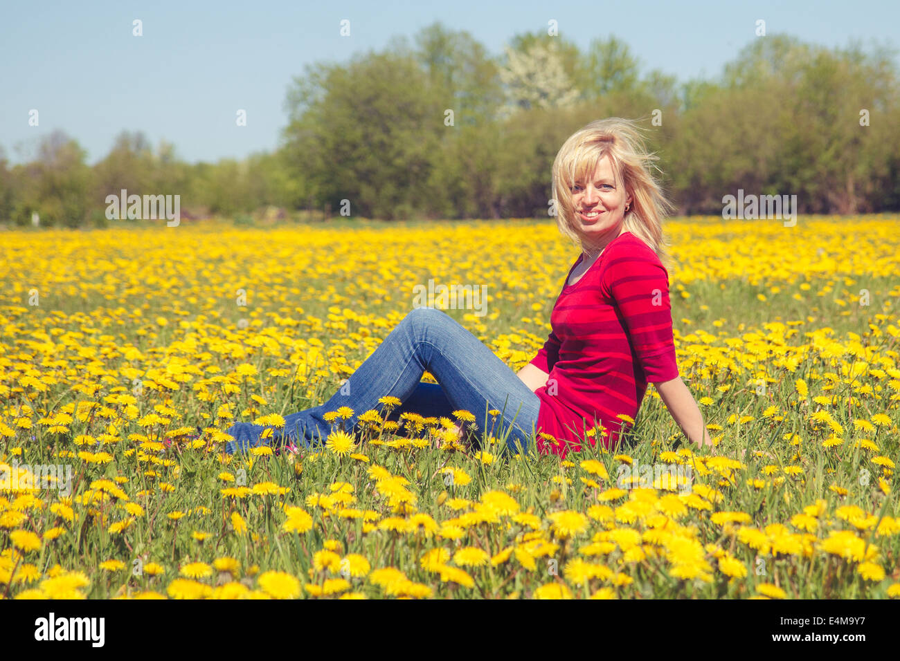 woman in dandelion field Stock Photo - Alamy