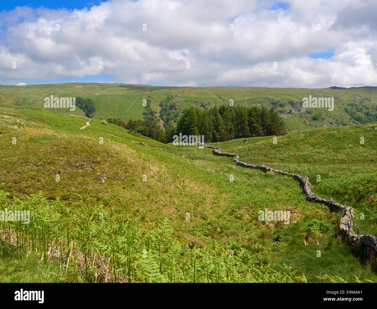 Puddingstone hi-res stock photography and images - Alamy