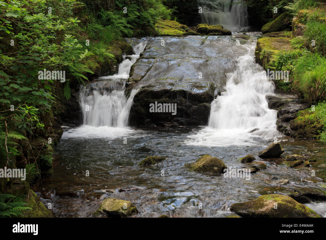 Watersmeet, North Devon. Hoar Oak Water cascade above the bridge Stock ...