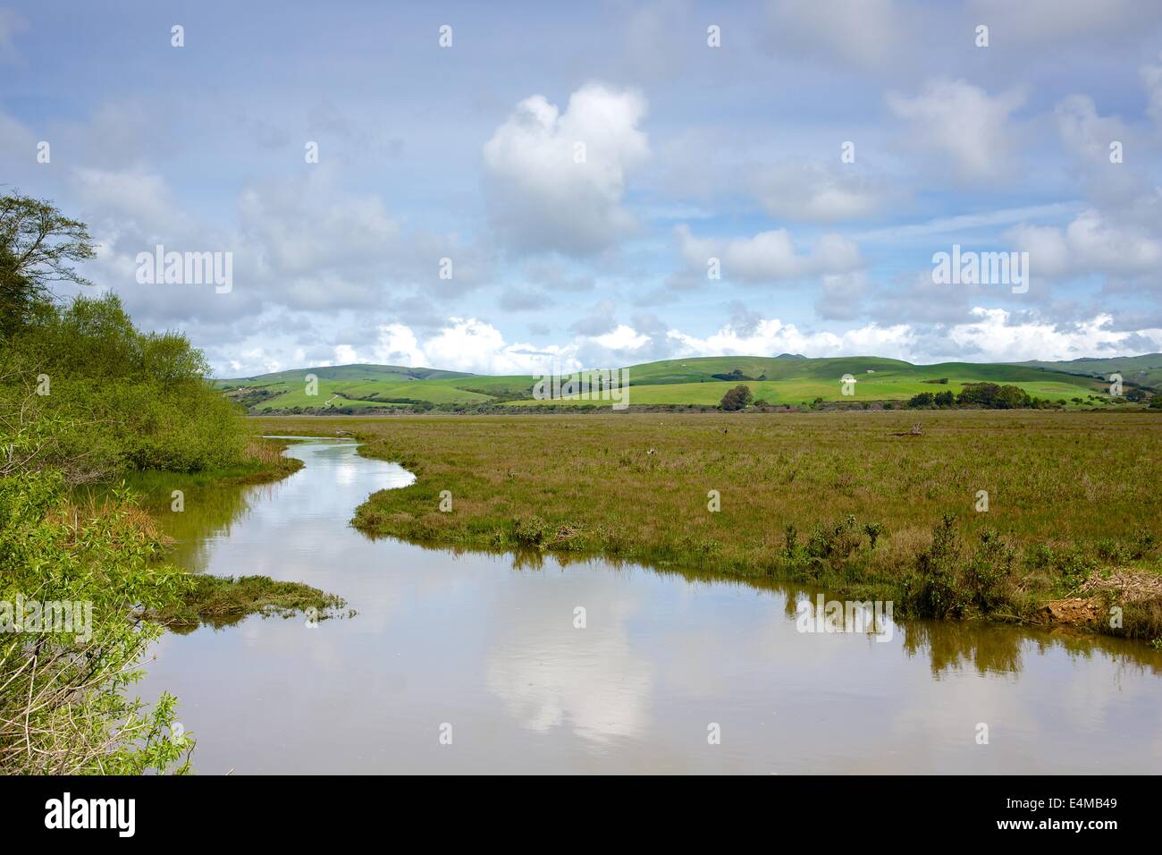 Point spring hi-res stock photography and images - Alamy
