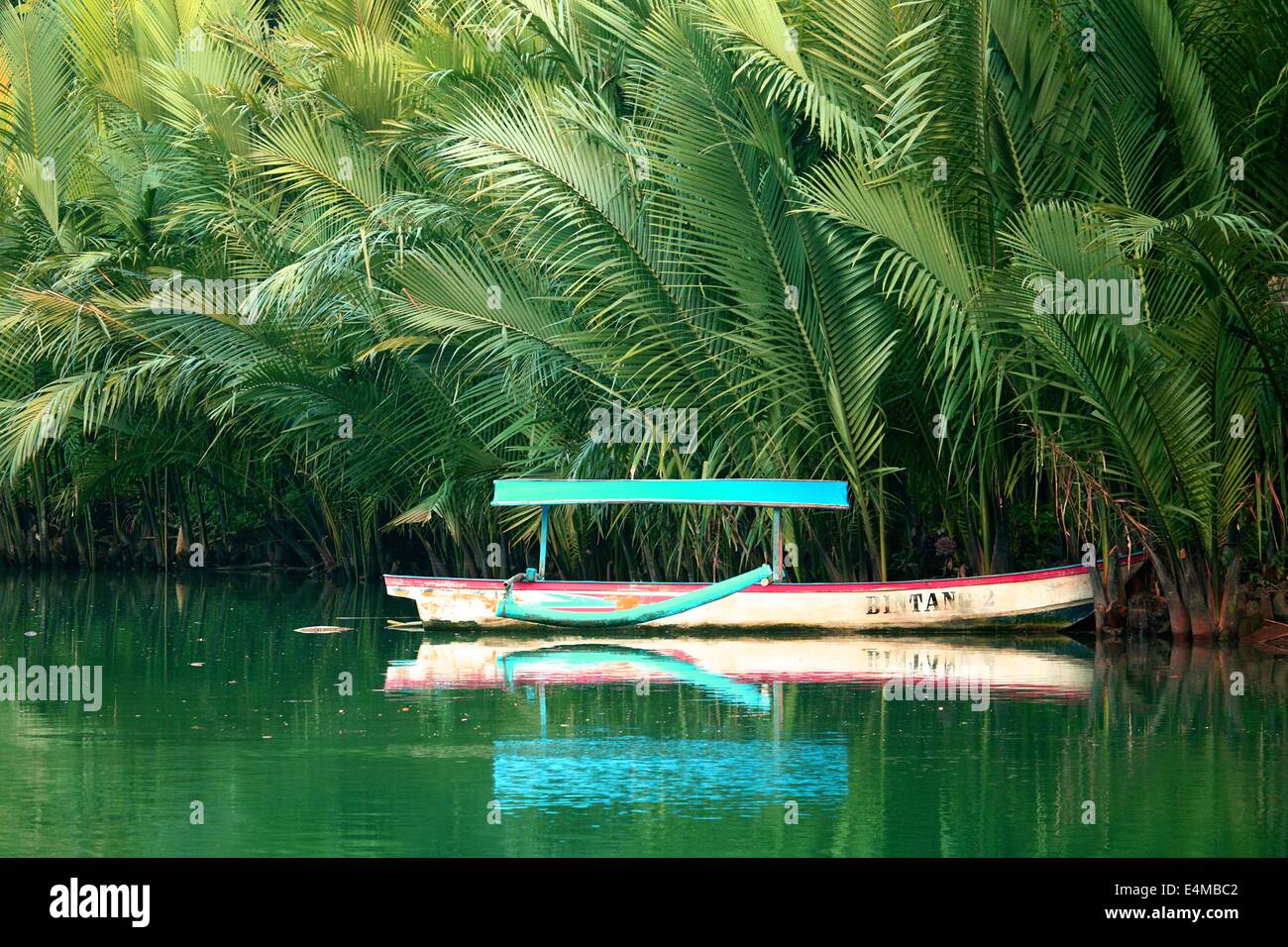 A tropical rainforest lagoon in Java, Indonesia Stock Photo - Alamy