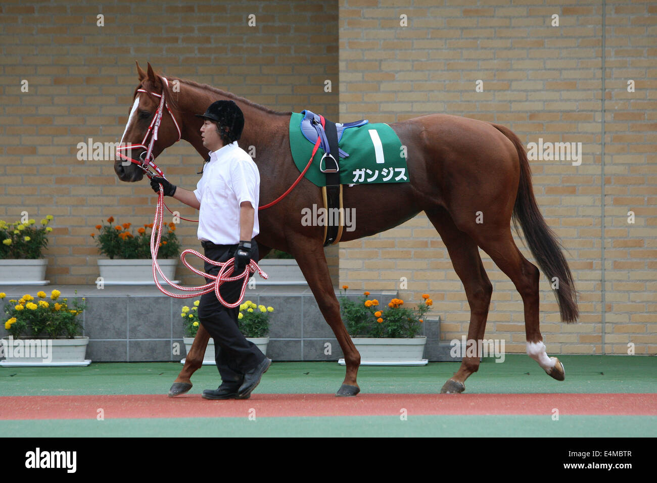 Aichi, Japan. 13th July, 2014. Ganges Horse Racing : Ganges is led ...