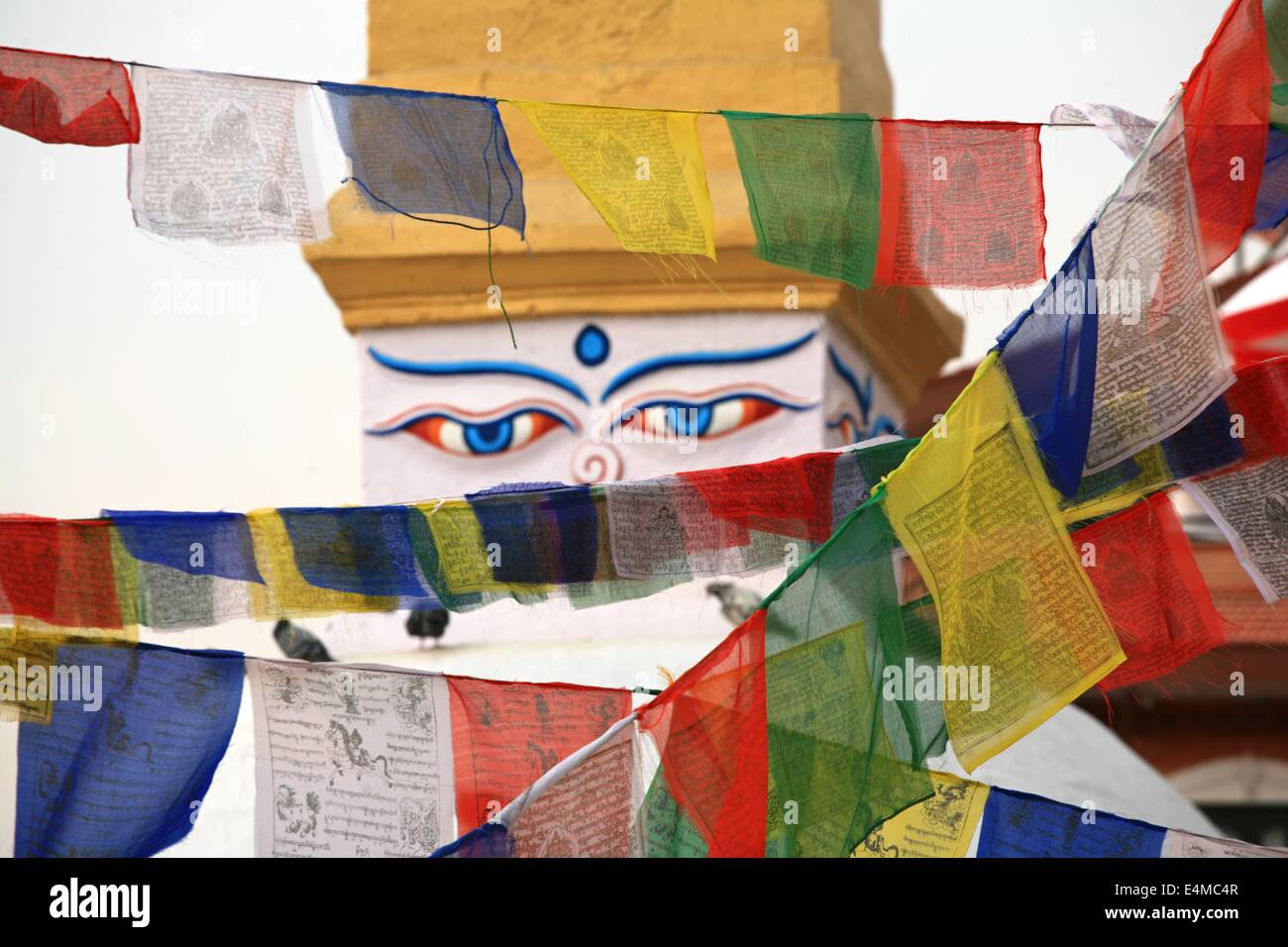 Tibetan buddhist prayer flags outside a temple in Nepal Stock Photo - Alamy