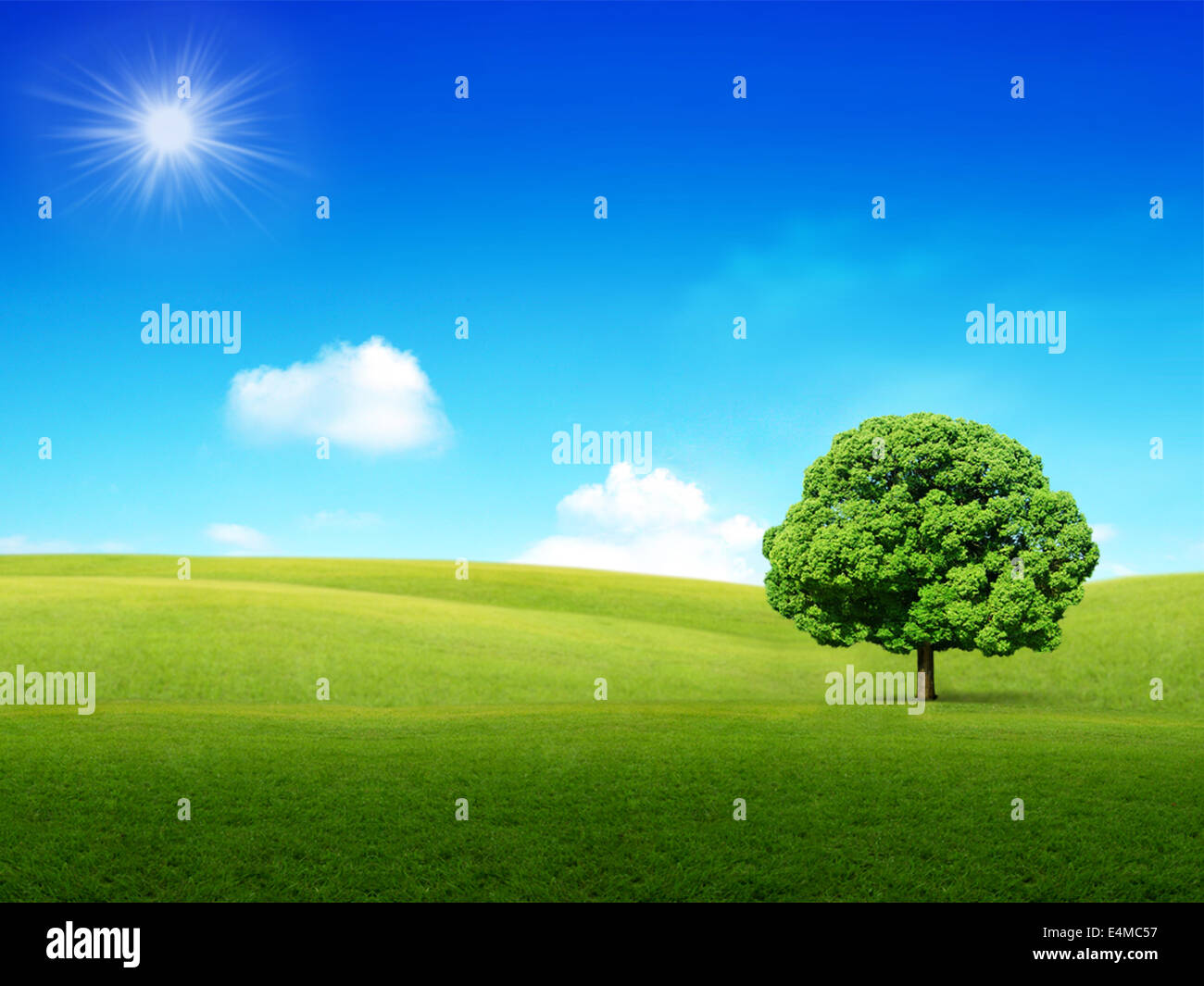 Green sunny meadow background Stock Photo - Alamy