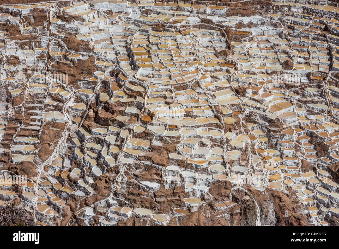 Maras salt mines in the peruvian Andes at Cuzco Peru Stock Photo - Alamy