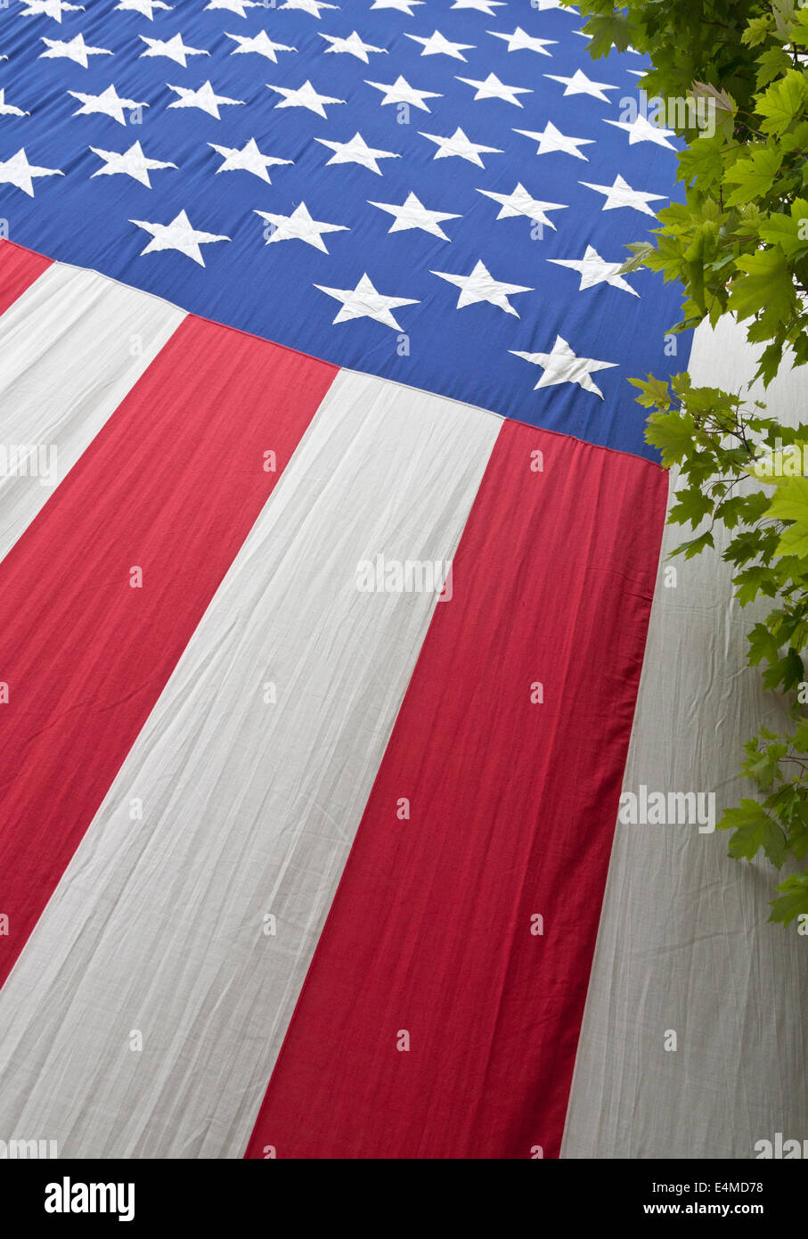 American flag tree hi-res stock photography and images - Alamy