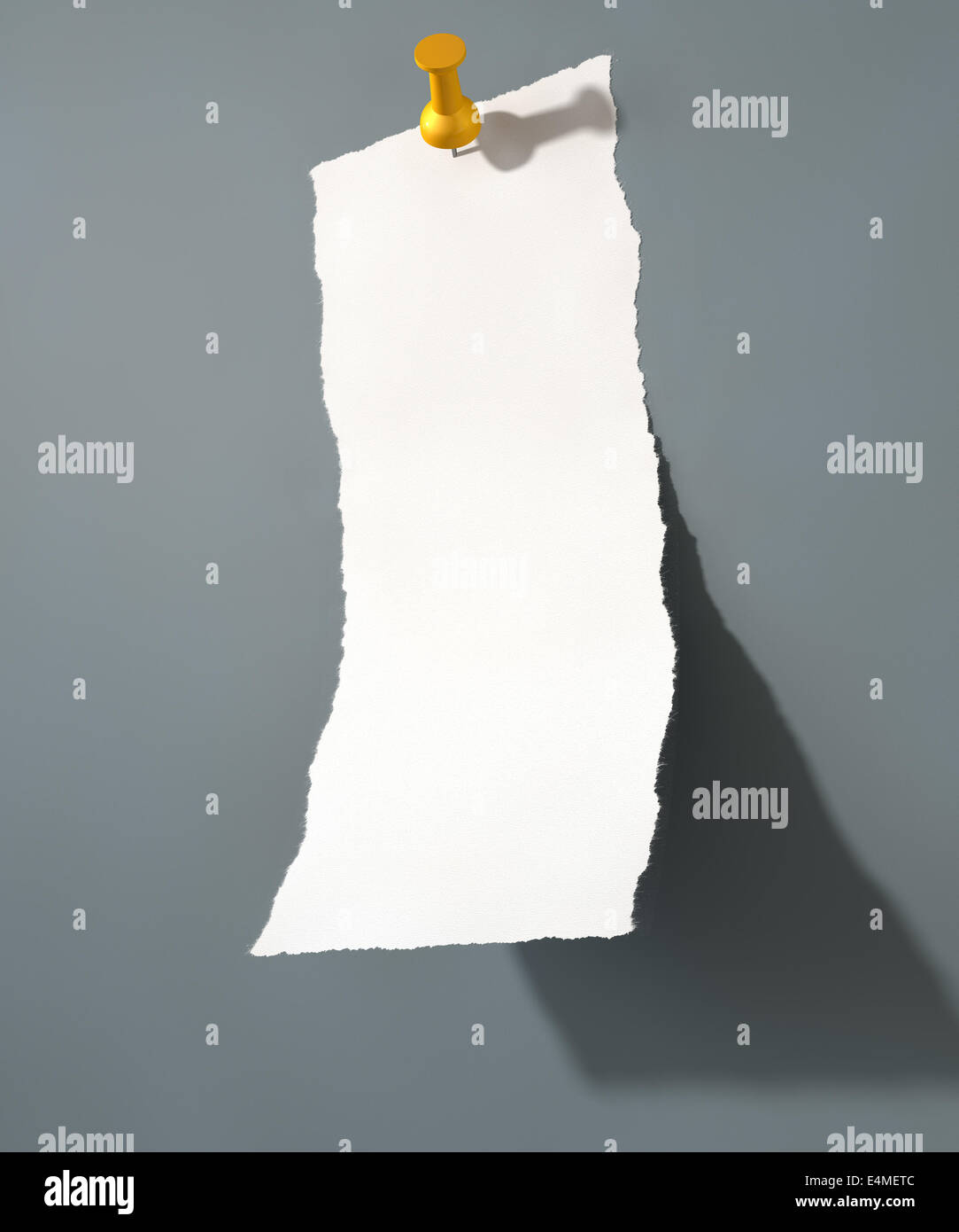 A white torn page peeling upwards attached to an isolated grey wall ...