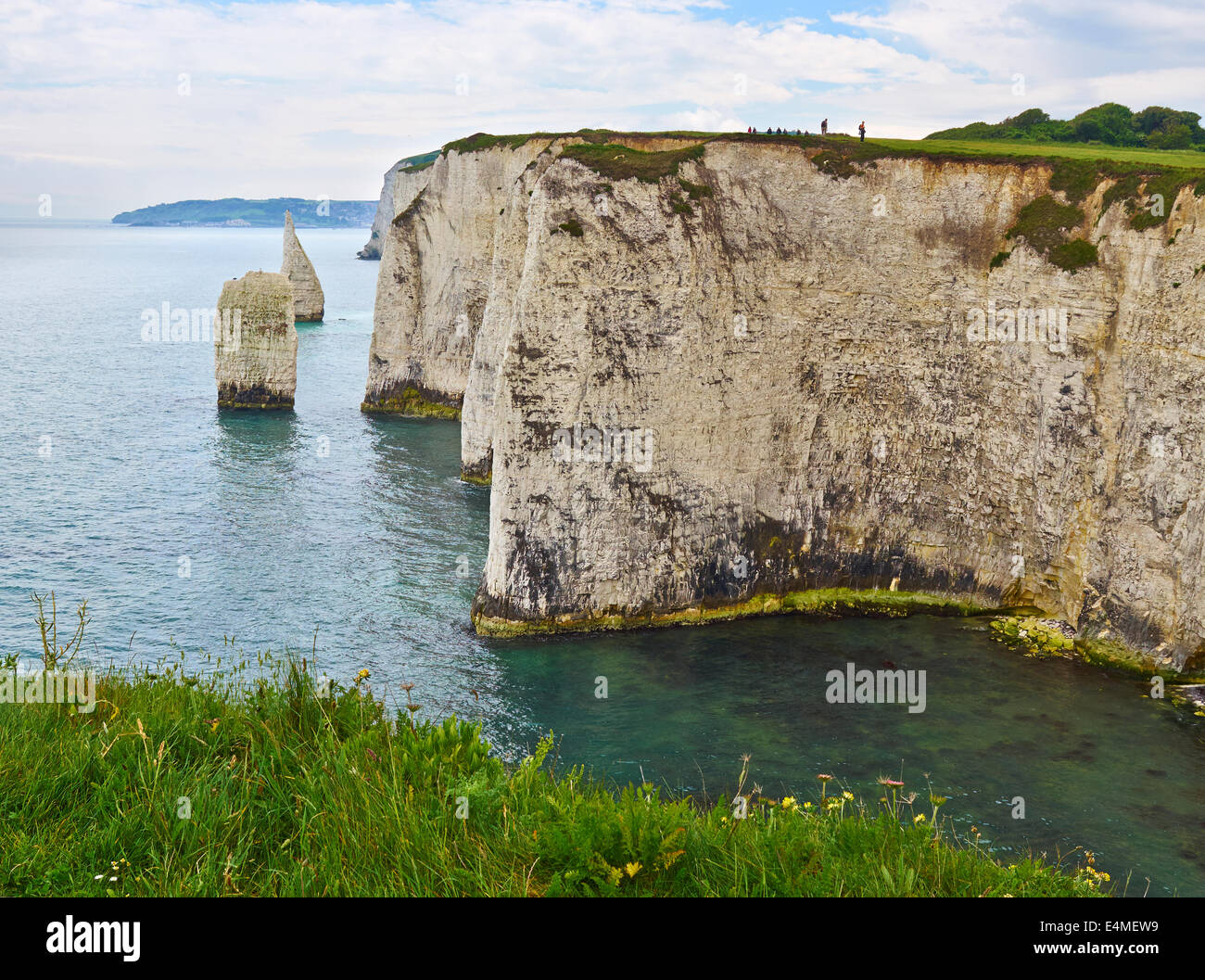 Old Harry Rocks, Handfast Point, Jurassic Coast, Dorset Stock Photo - Alamy