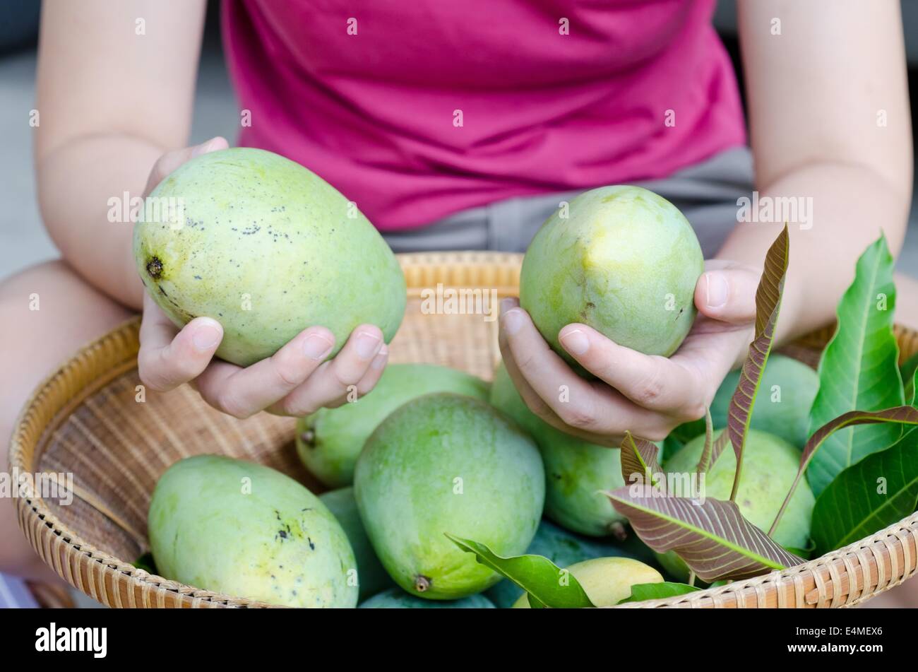 Hand hold mango hi-res stock photography and images - Alamy