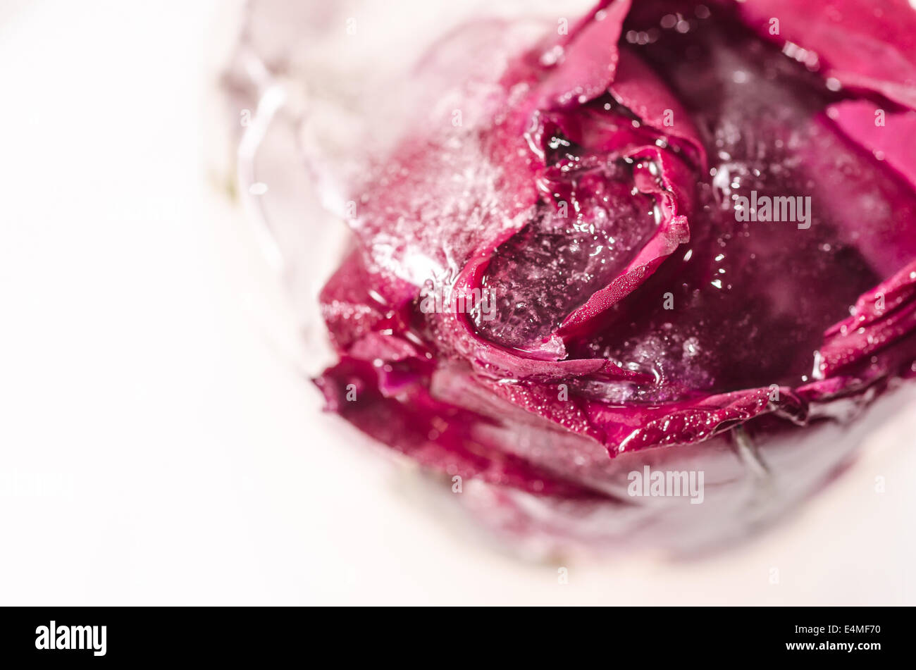 Frozen red rose in white frost Stock Photo - Alamy