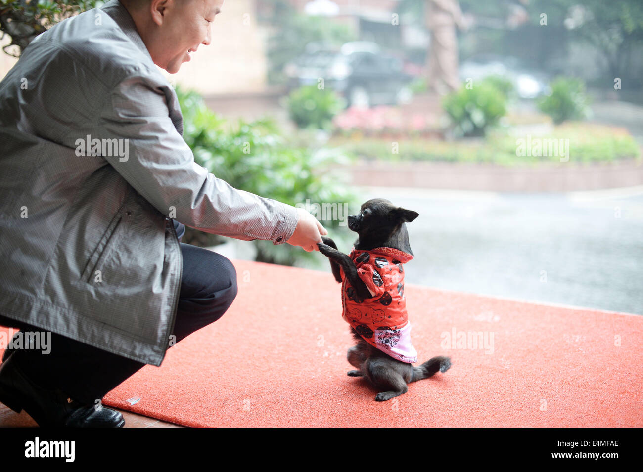 8th, December, 2013.Chongqing. Keke and Mr Yen shake hands. 8th Dec ...