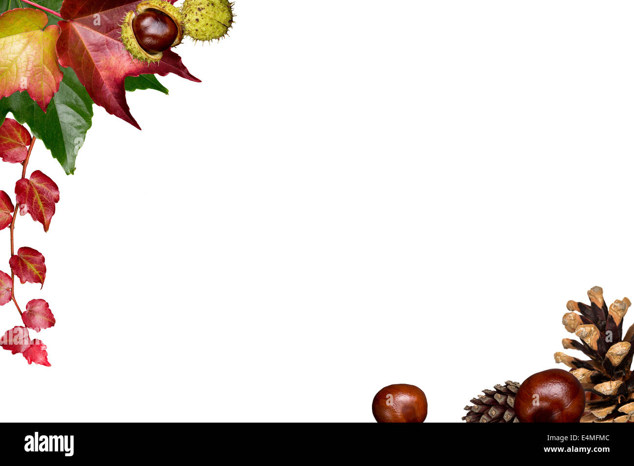 colorful autumn frame, isolated Stock Photo - Alamy