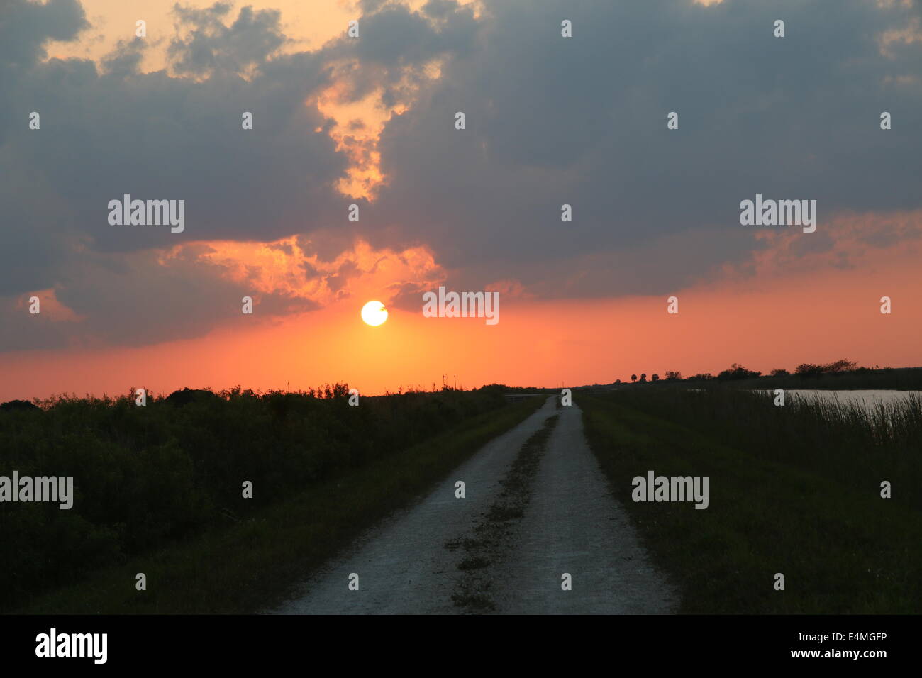 Sunset at the everglades hi-res stock photography and images - Alamy