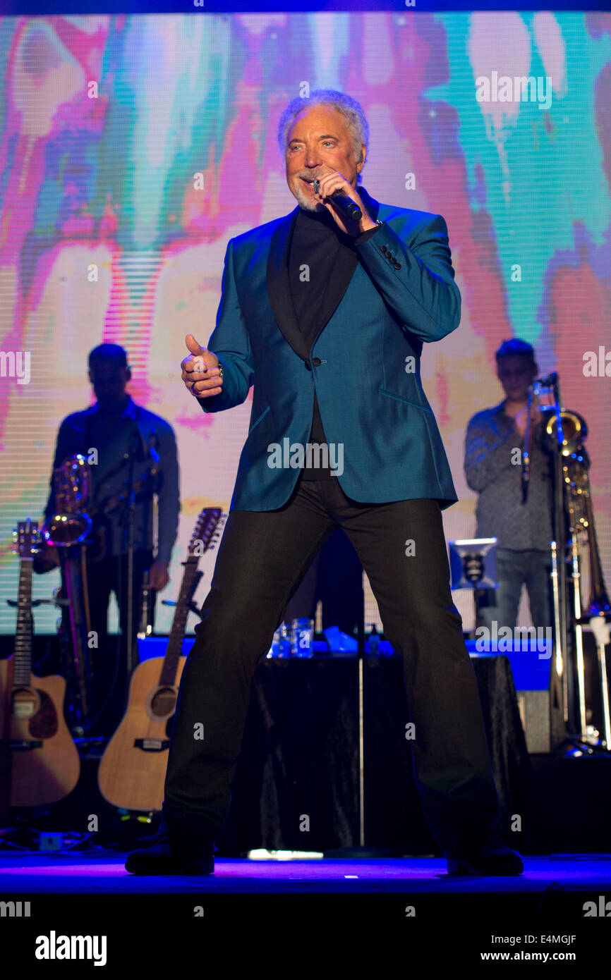 Welsh singer Tom Jones on stage at Chepstow Racecourse Stock Photo - Alamy