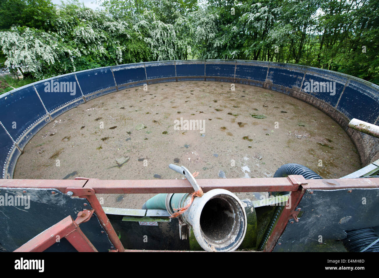 Cow manure lagoon hi-res stock photography and images - Alamy