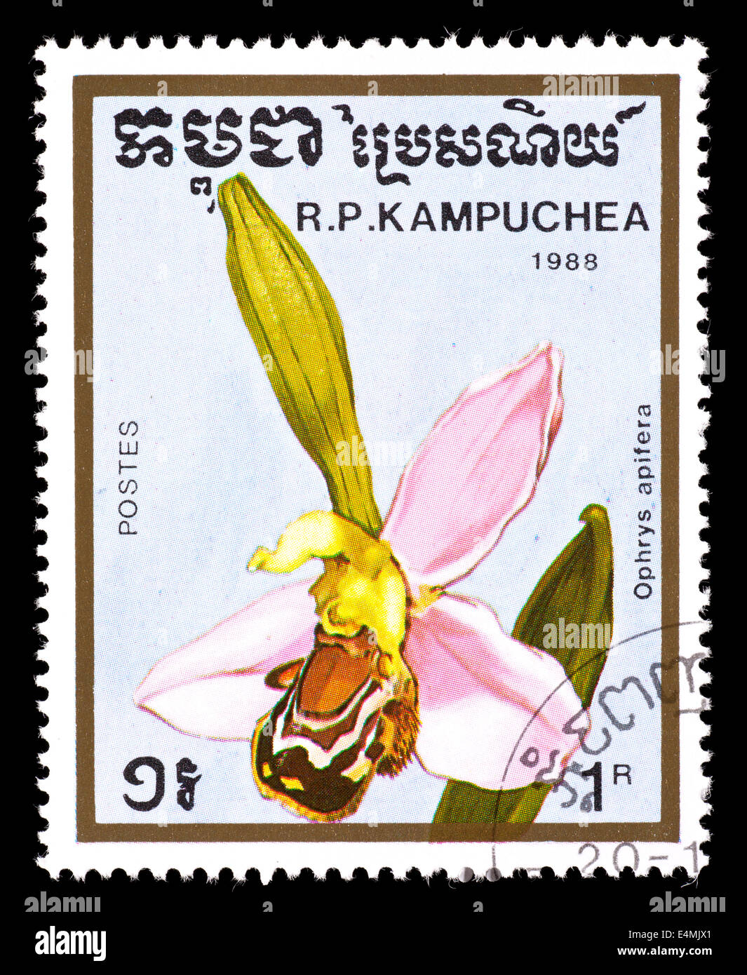 Postage stamp from Kampuchea (Cambodia) depicting a bee orchid (Ophrys ...