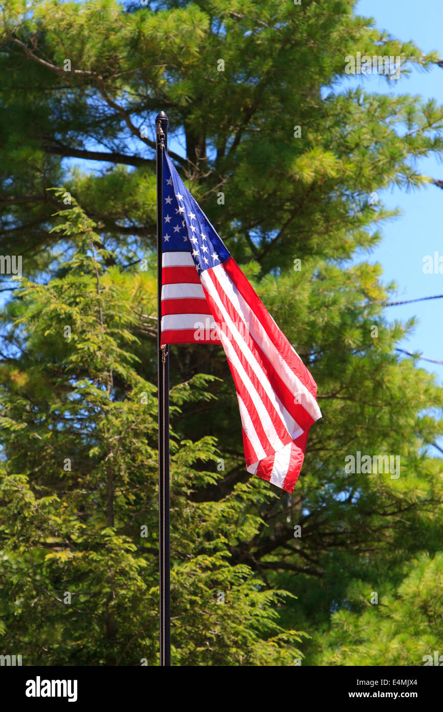 American flag against a tree background Stock Photo - Alamy