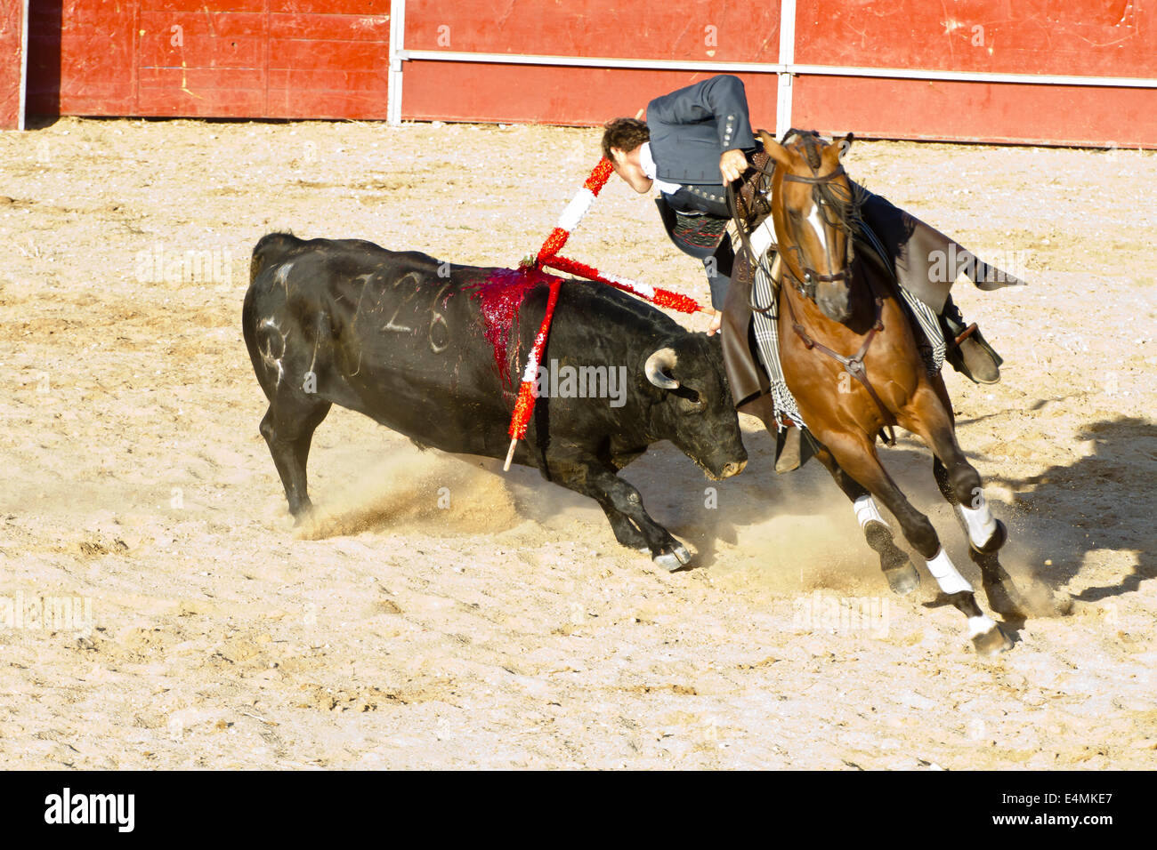 Bullfight on horseback. Typical Spanish bullfight Stock Photo - Alamy