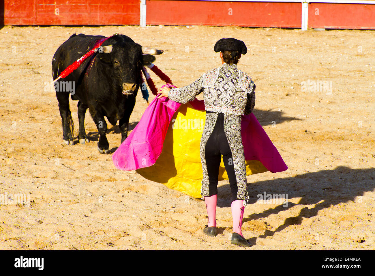 Torero and bull in bullfight. Madrid, Spain Stock Photo - Alamy