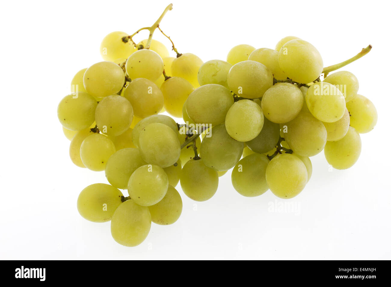 Grapes farming sun Cut Out Stock Images & Pictures - Alamy