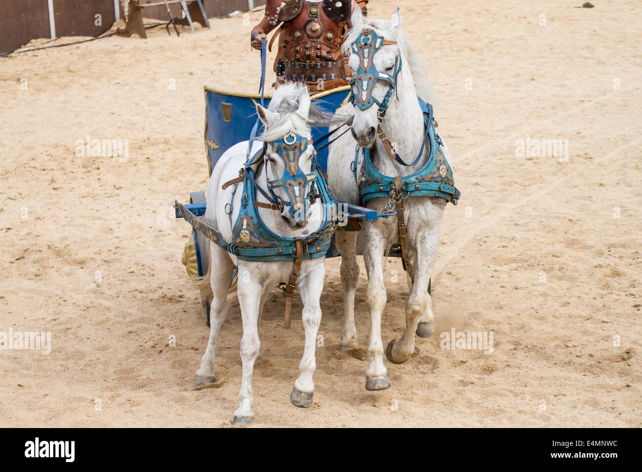 Roman chariot in a fight of gladiators, bloody circus Stock Photo - Alamy