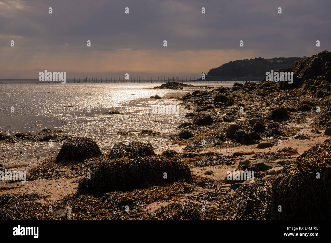 Balcary fishing hi-res stock photography and images - Alamy