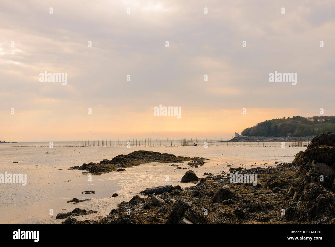 Balcary Bay, Auchencairn Bay, Solway Firth, Dumfries and Galloway ...