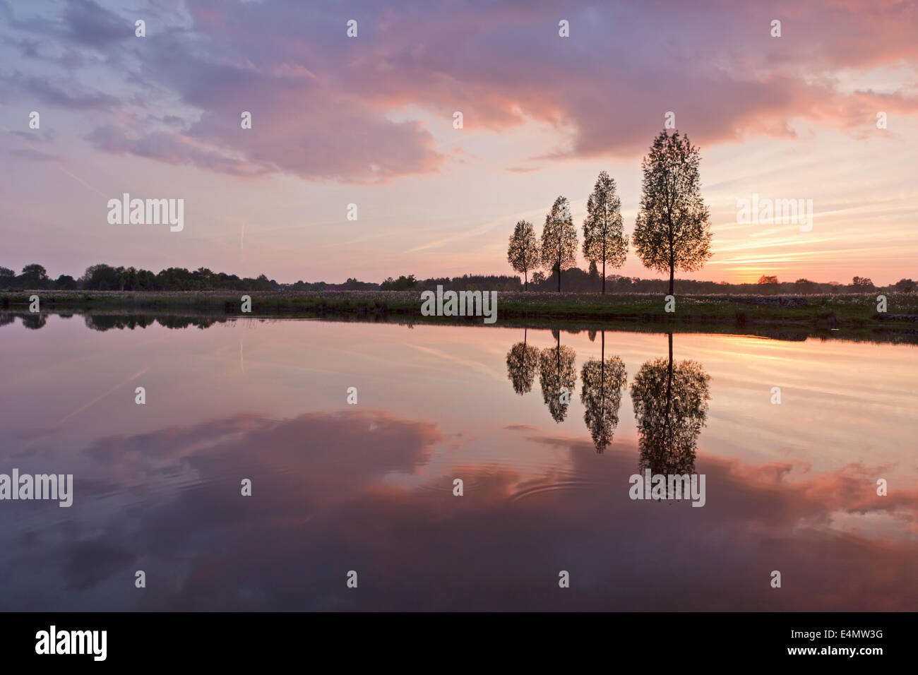 Leafless tree near lake on sunset Stock Photo - Alamy